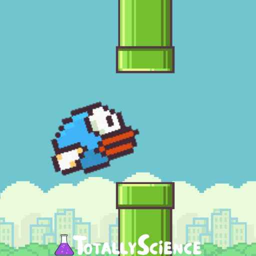 Flappy Bird Unblocked - Play on Totally Science